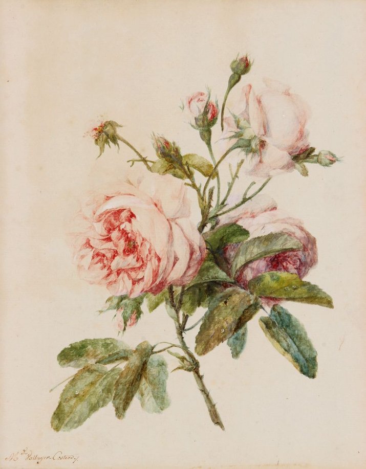 Arts graphiques - Les collections — Musée des Beaux-arts de Nancy ...